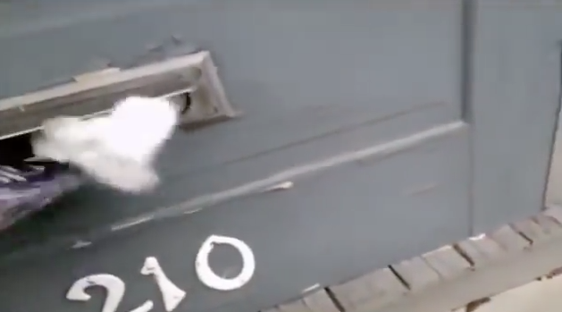 Video of the Day: Cat Attacks Mailman Through Mail Slot | VJ